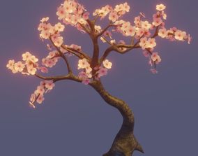Rigged Cherry tree 3D Models | CGTrader