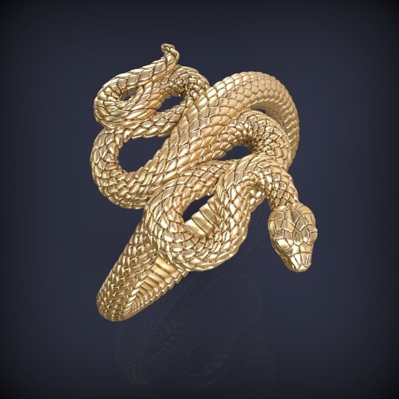 Snake Jewelry Ring 3d print model 3D model 3D printable | CGTrader