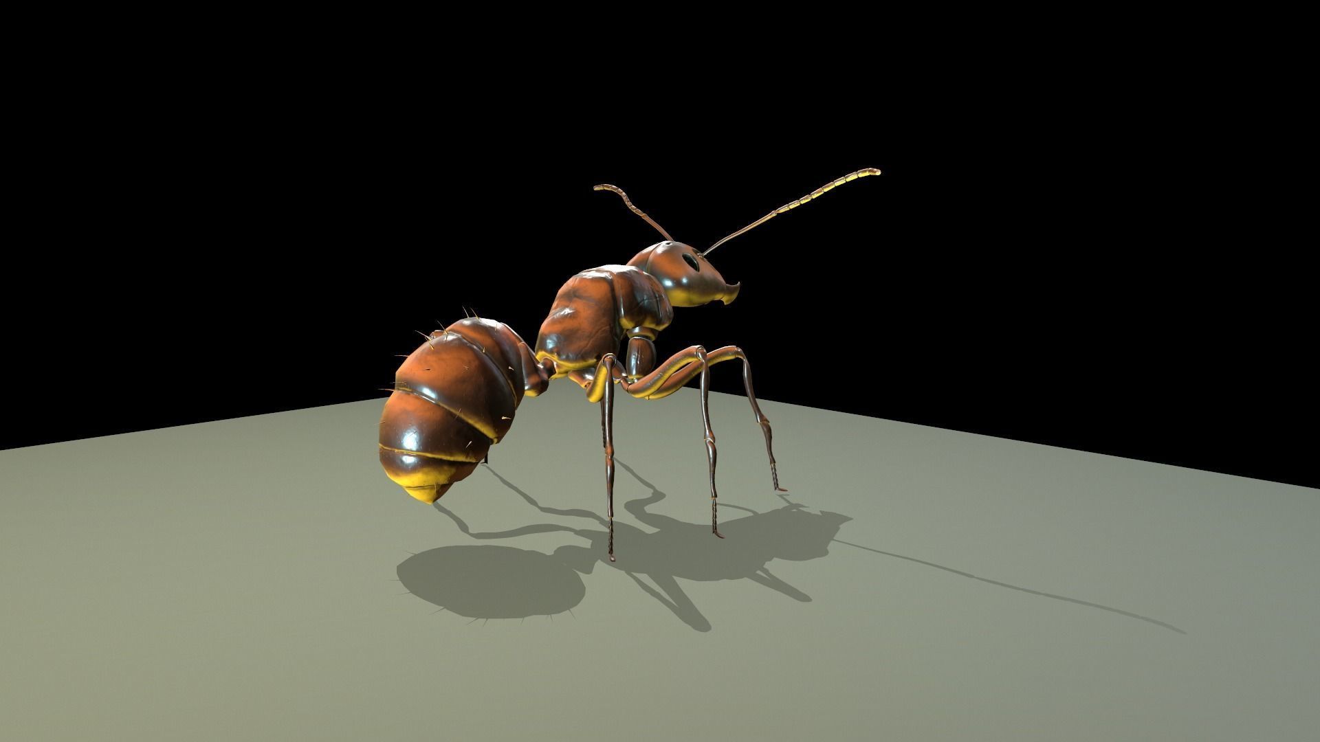 3D model Worker Ant VR / AR / low-poly rigged animated | CGTrader