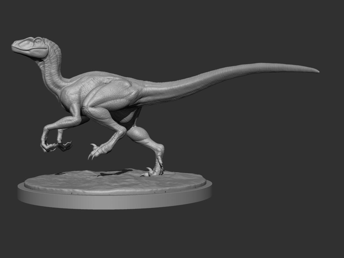 3D Raptor for Printing Pose 02 3D model 3D printable | CGTrader