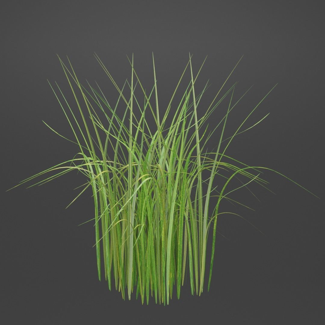 Grass set for landscape free VR / AR / low-poly 3D model | CGTrader