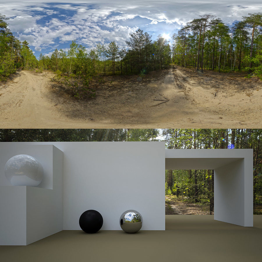 HDRi Forest Texture | CGTrader