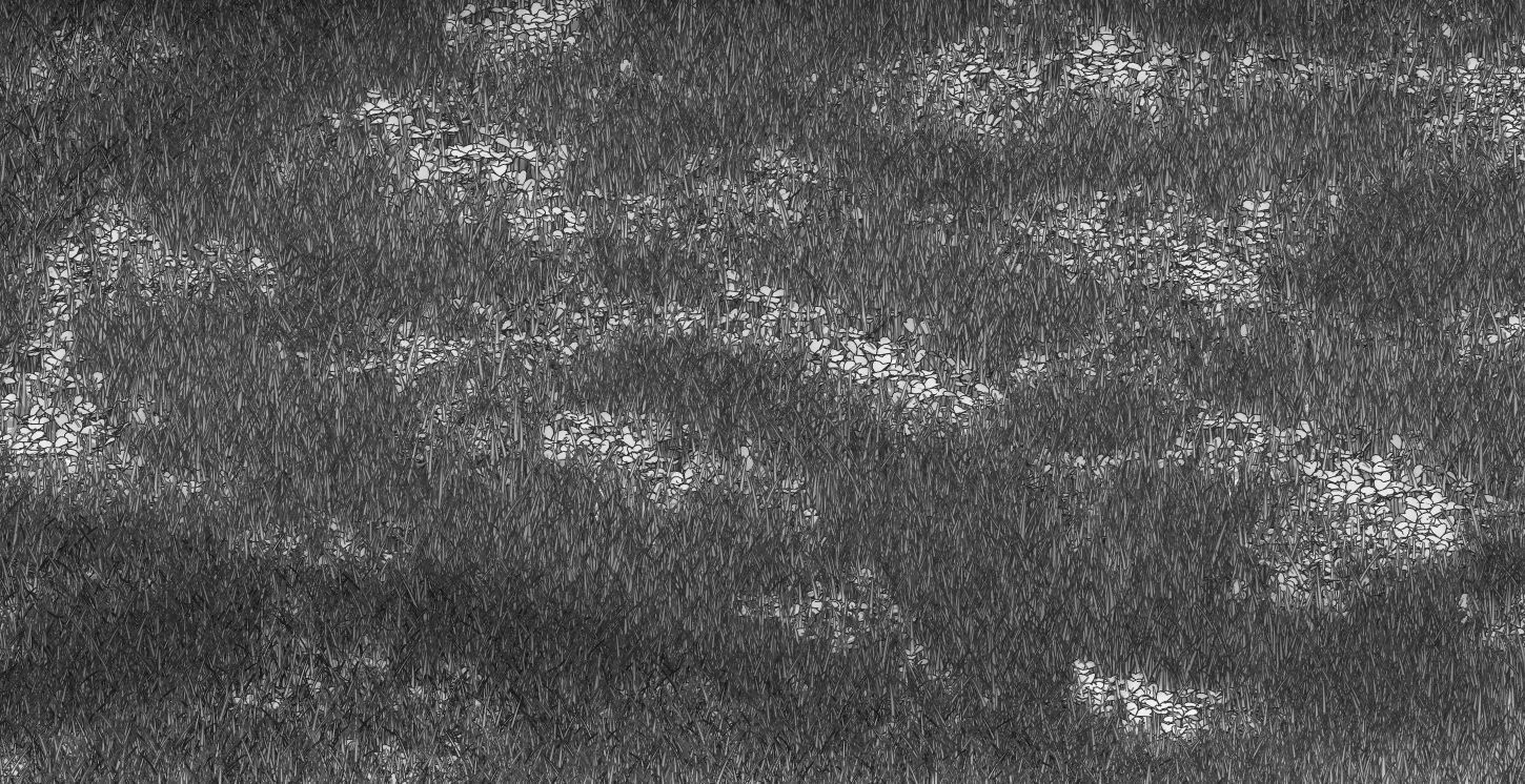 arquigrasspack02- Revit grass with automatic placement 3D model | CGTrader