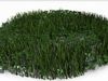 arquigrasspack02- Revit grass with automatic placement 3D model | CGTrader