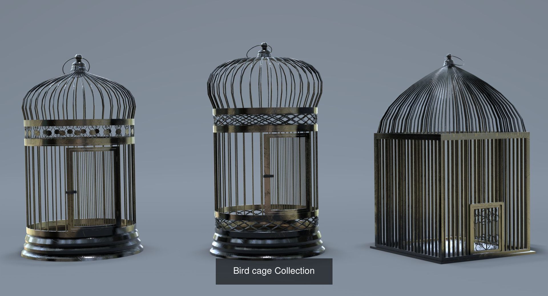 Cage Bird Collection | CGTrader