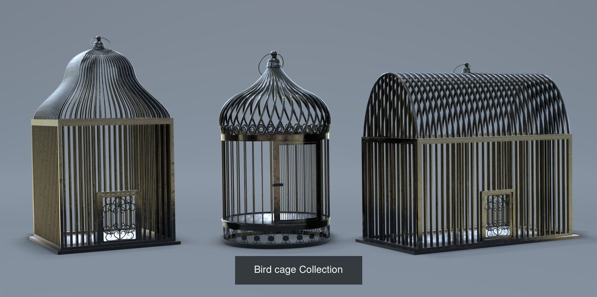 Cage Bird Collection | CGTrader