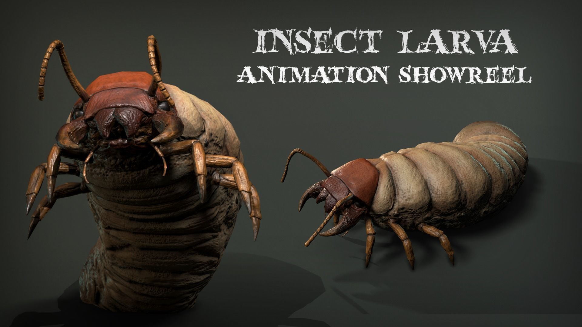 3D model Insect Larva VR / AR / low-poly | CGTrader