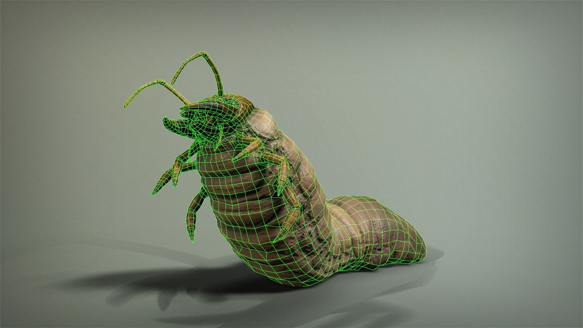 3D model Insect Larva VR / AR / low-poly | CGTrader