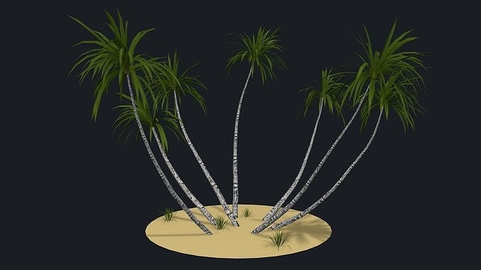 Palms 3D model | CGTrader