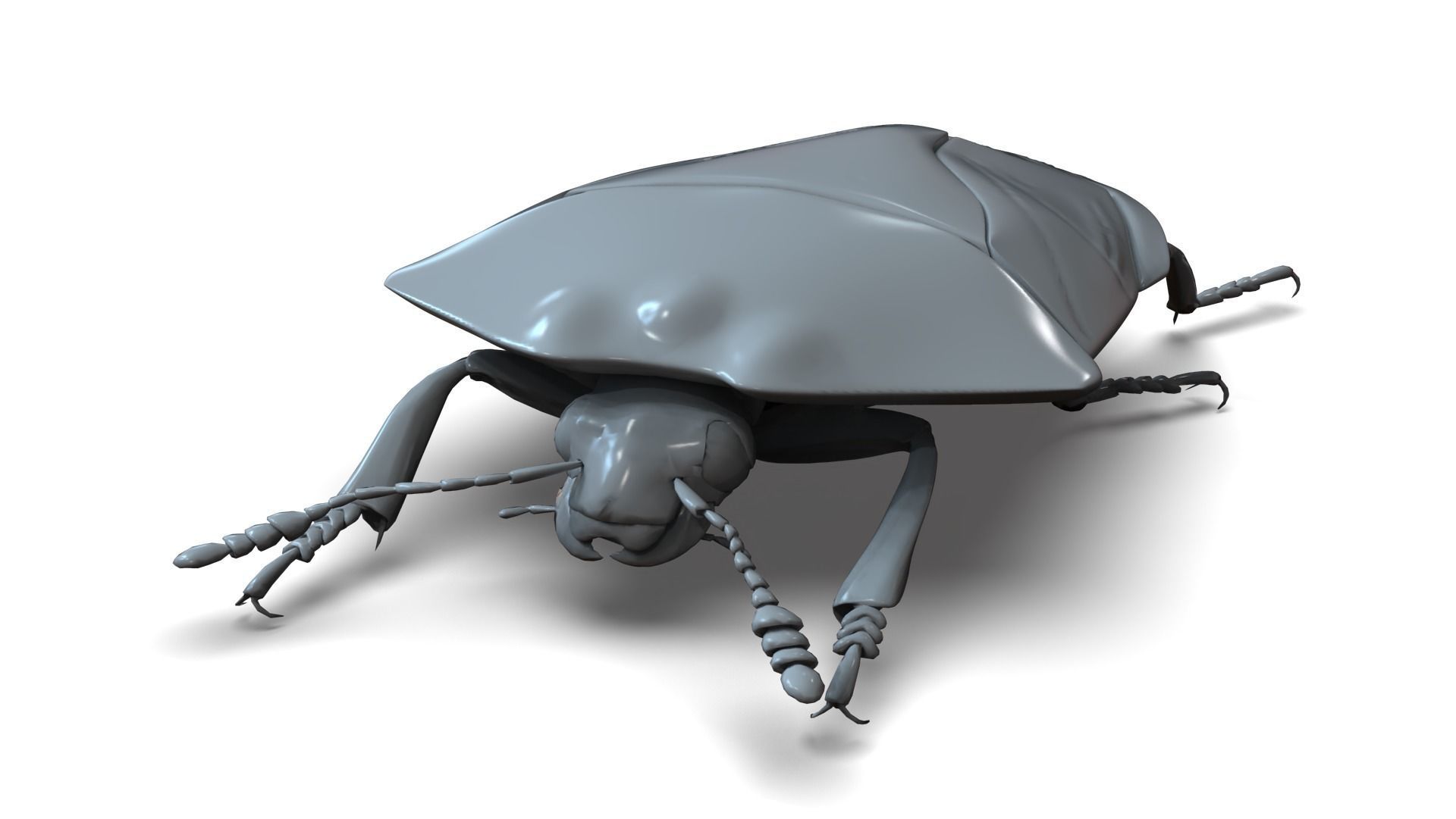 Beetle model for 3D print 3D model 3D printable | CGTrader