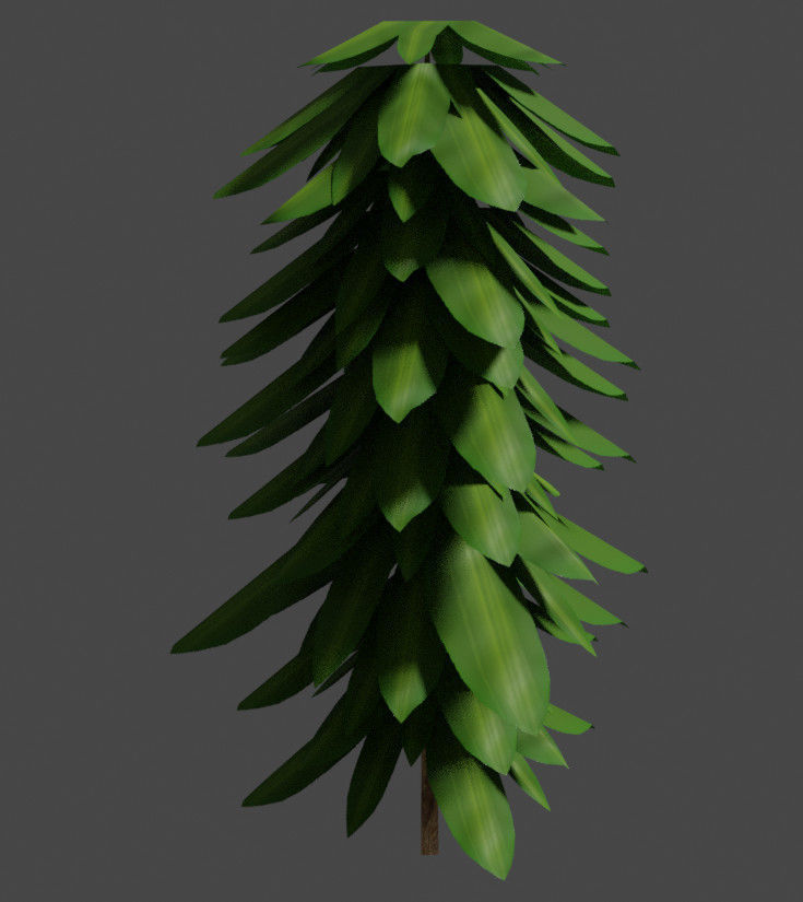 3D model Corn Palm Palmillo Dracena Fragrans PBR Lowpoly VR / AR / low ...