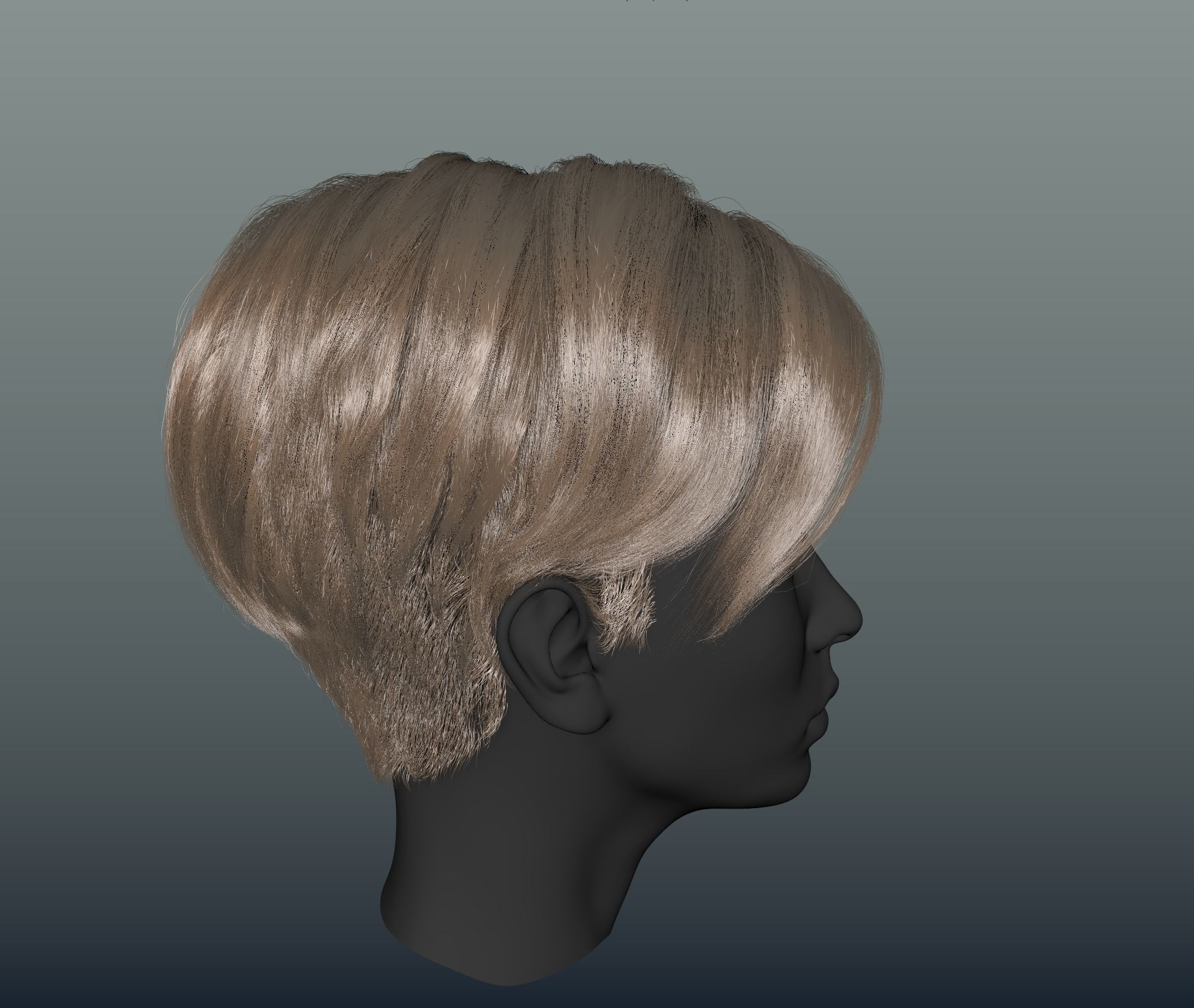 Hair Pixie 3D model | CGTrader