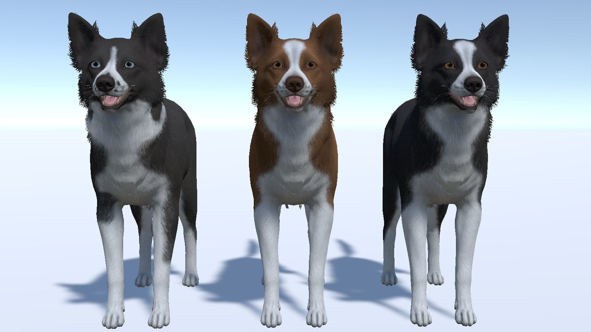 3D model Dog - Border Collie VR / AR / low-poly rigged animated | CGTrader
