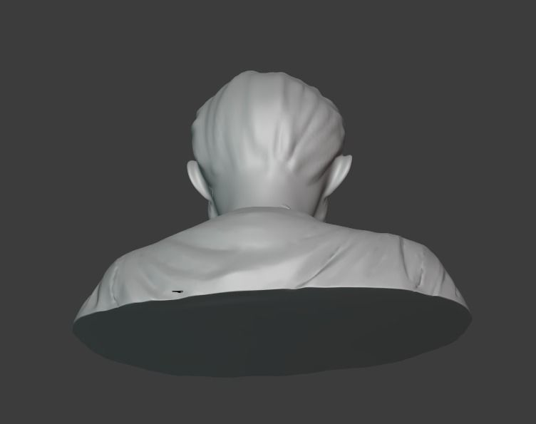 Baris Ozcan 3D model 3D printable | CGTrader