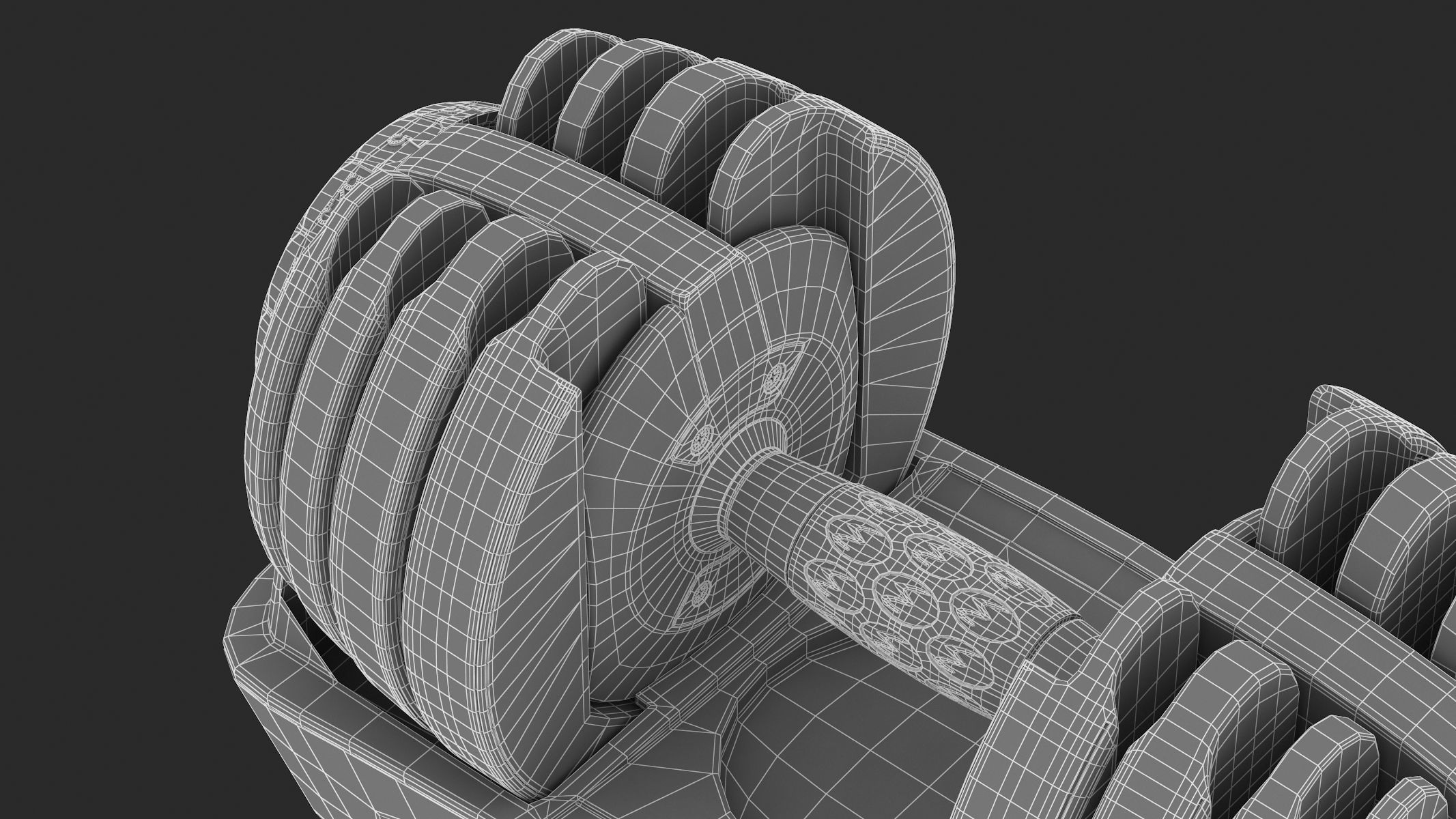 Bowflex SelectTech 552 Adjustable Dumbbells 3D model | CGTrader