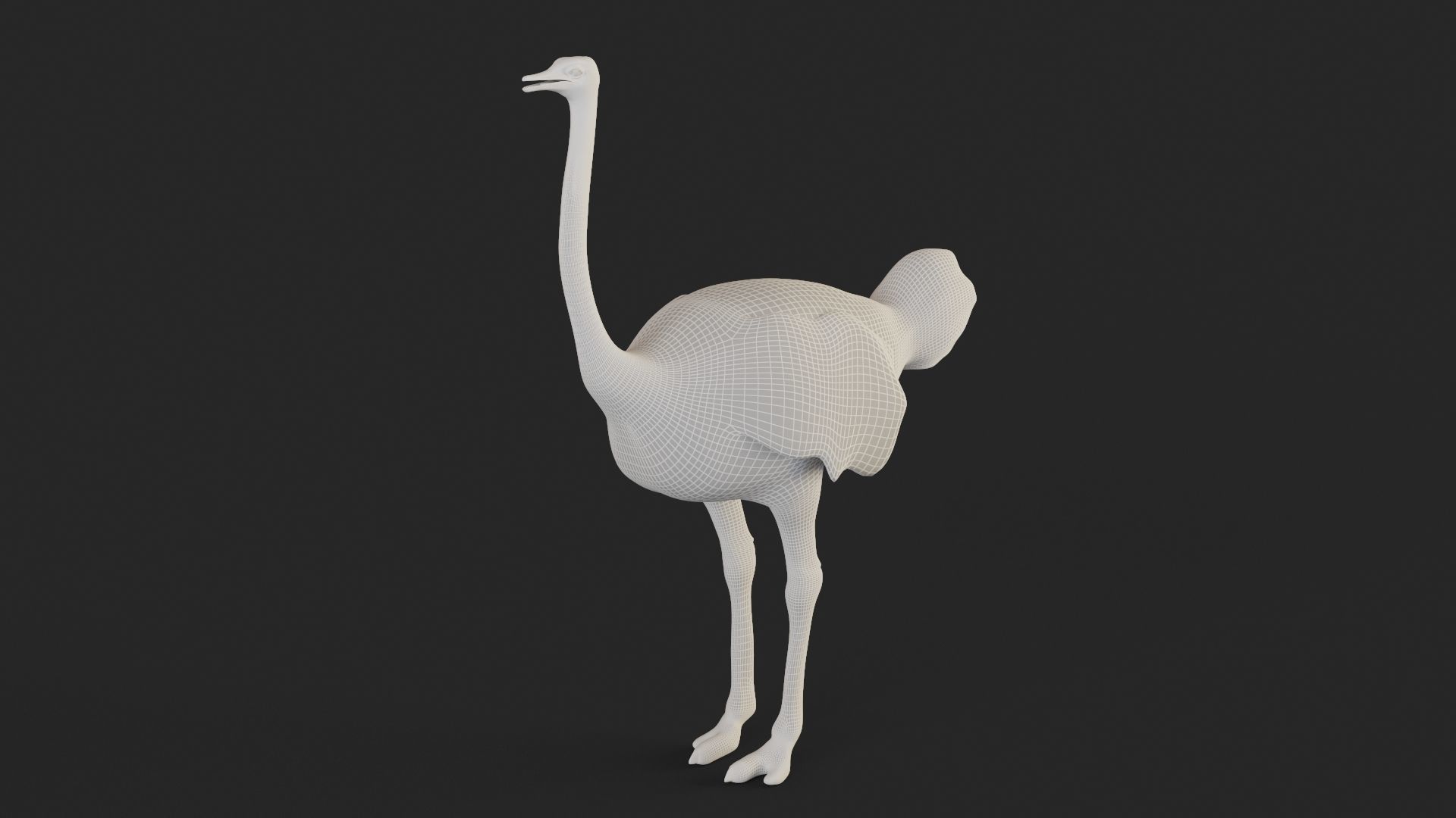 Ostrich 3D model | CGTrader