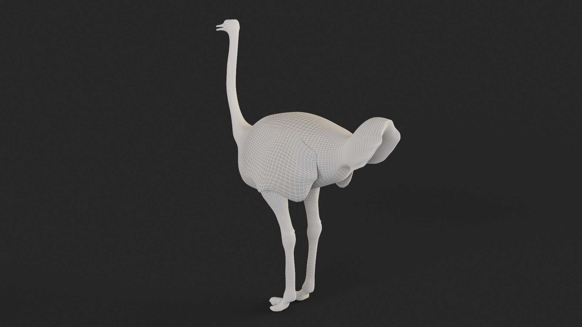 Ostrich 3D model | CGTrader