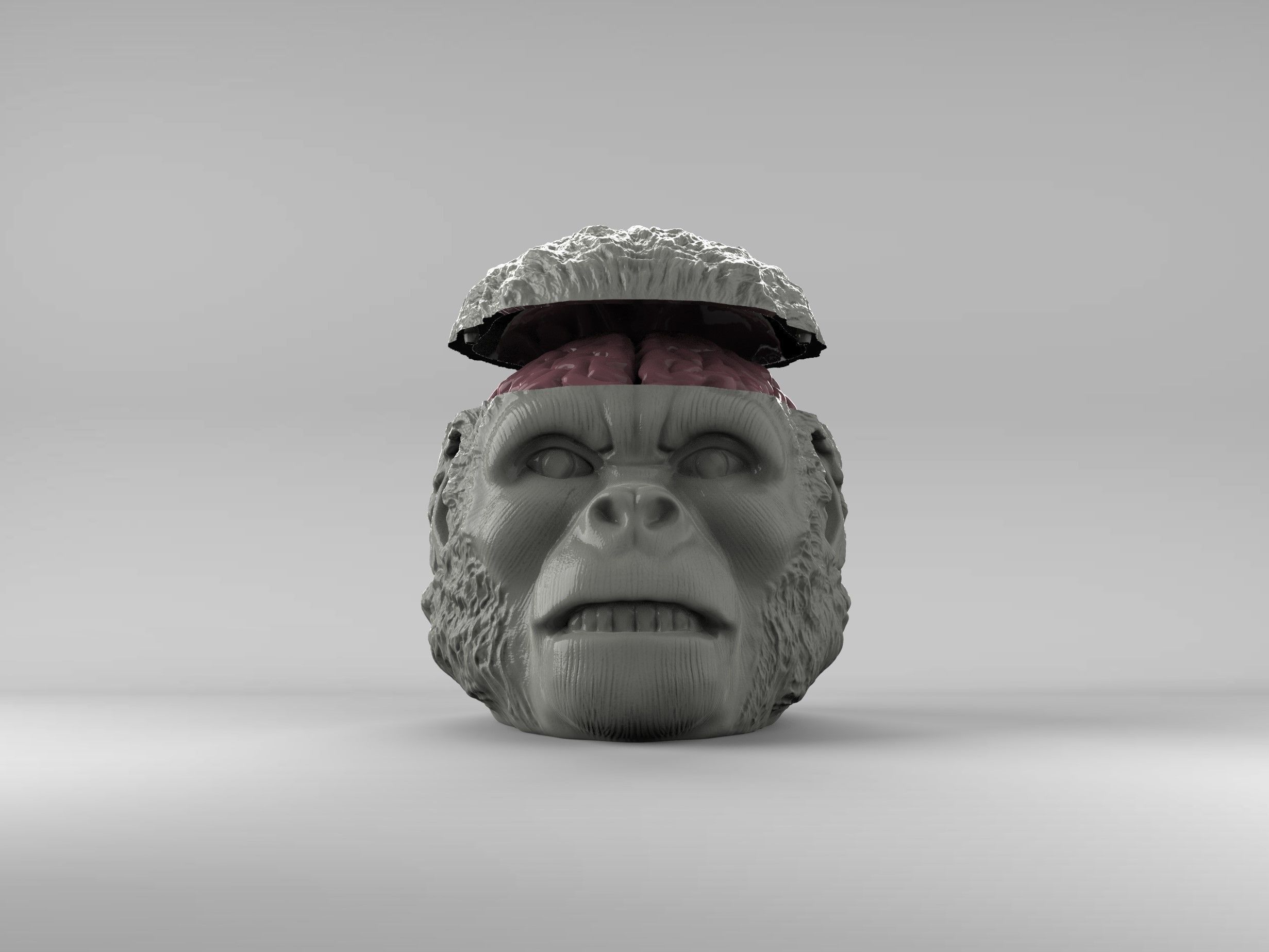 Indiana Jones Temple of Doom Chilled Monkey Brains 3D model 3D ...