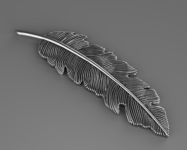 Bird feather 3D model | CGTrader
