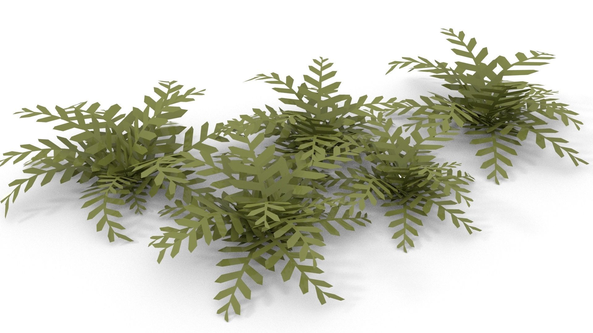 Low-poly Fern bush plant 3D model | CGTrader