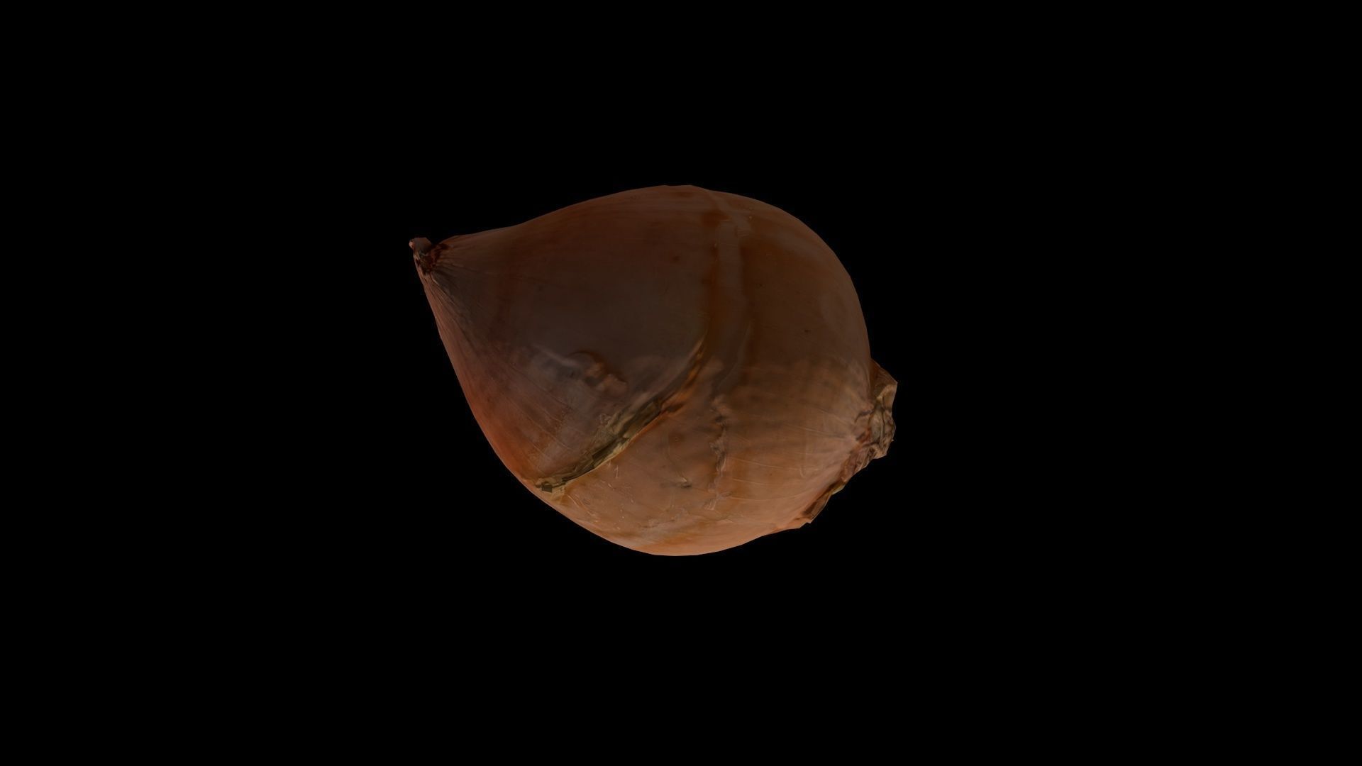3D model ONION - realistic VR / AR / low-poly | CGTrader
