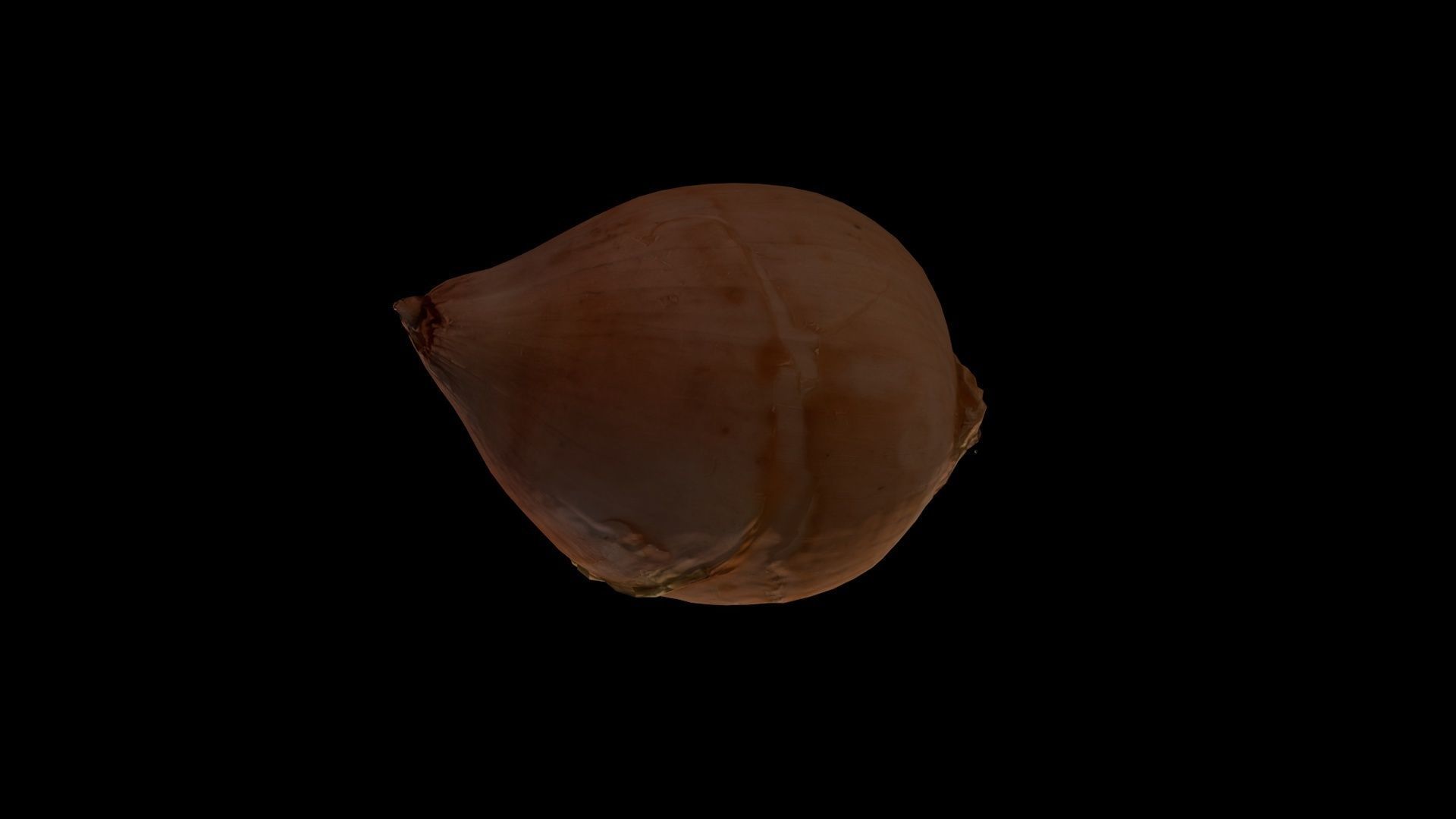 3D model ONION - realistic VR / AR / low-poly | CGTrader