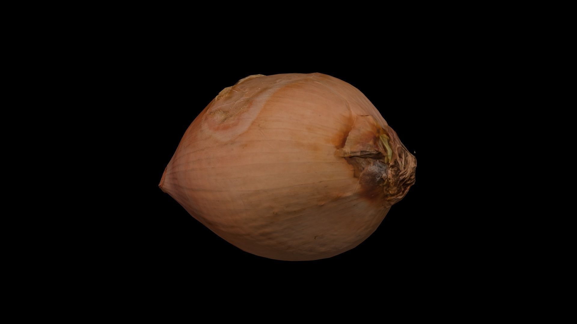 3D model ONION - realistic VR / AR / low-poly | CGTrader