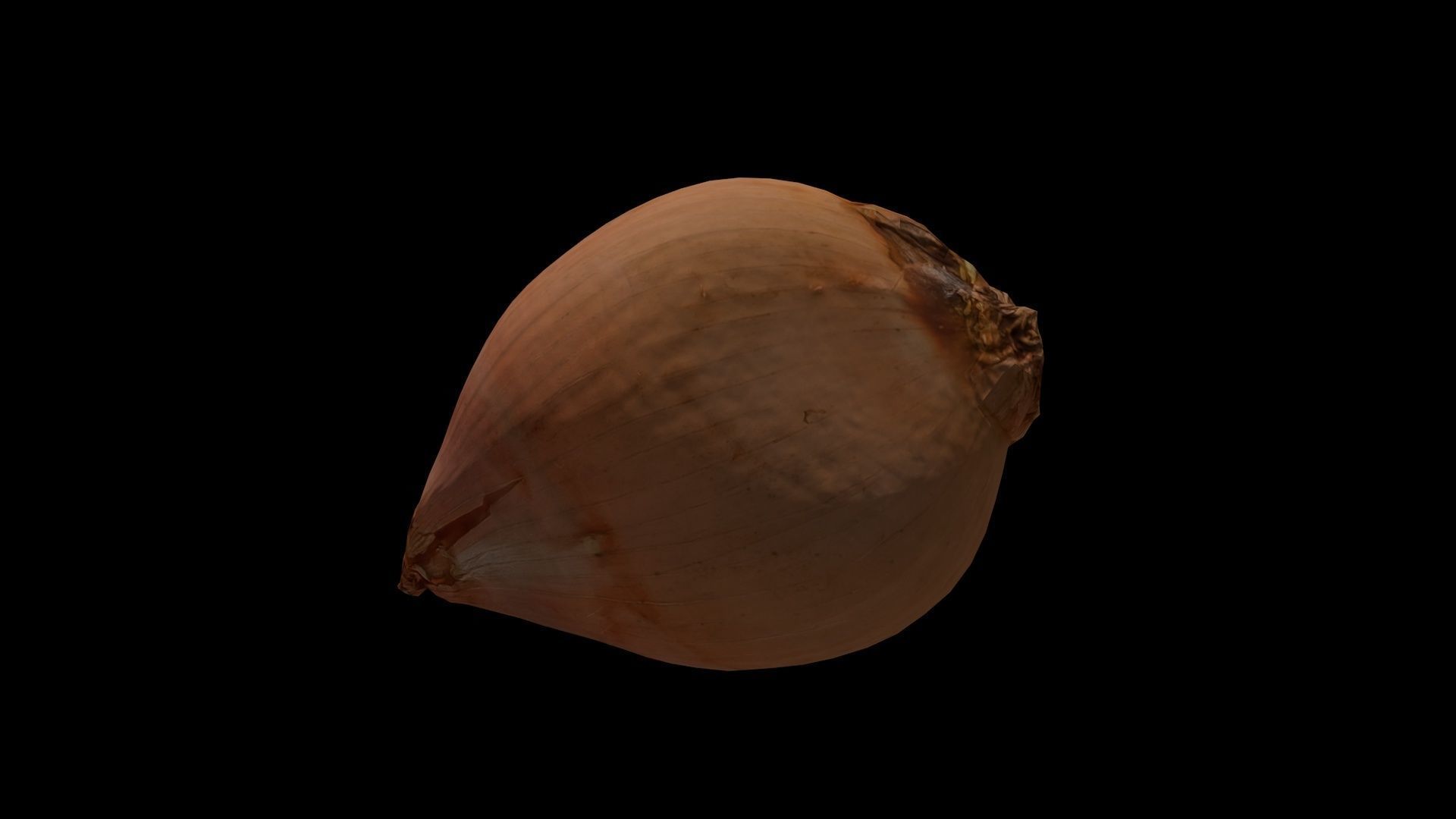 3D model ONION - realistic VR / AR / low-poly | CGTrader