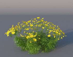 Animated Xfrogplants 3D Models | CGTrader
