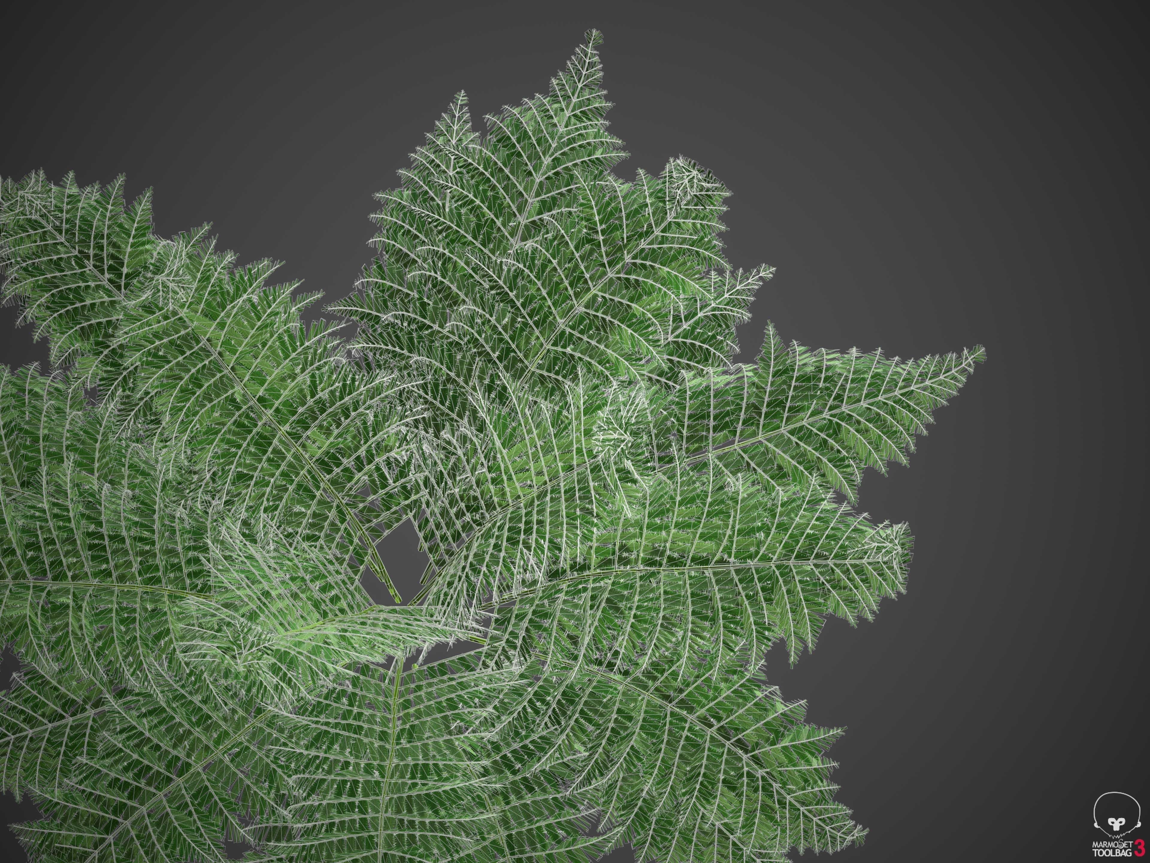 XfrogPlants Male Fern - Dryopteris Filix 3D model animated | CGTrader