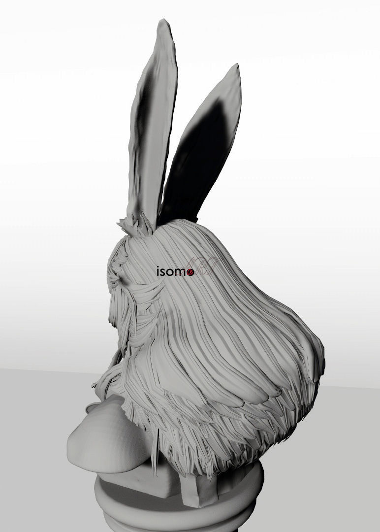 Lyna Portrait Bust Final Fantasy 14 FFXIV 3D model 3D printable | CGTrader