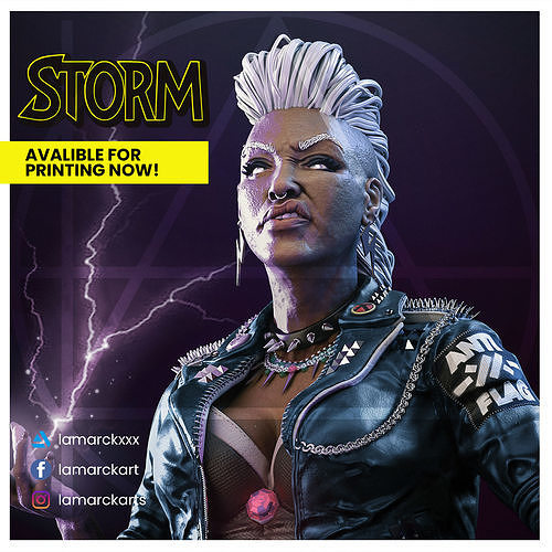 Punk Storm - FanArt 3D model 3D printable | CGTrader