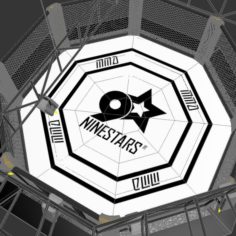 MMA arena octagon 3D model | CGTrader