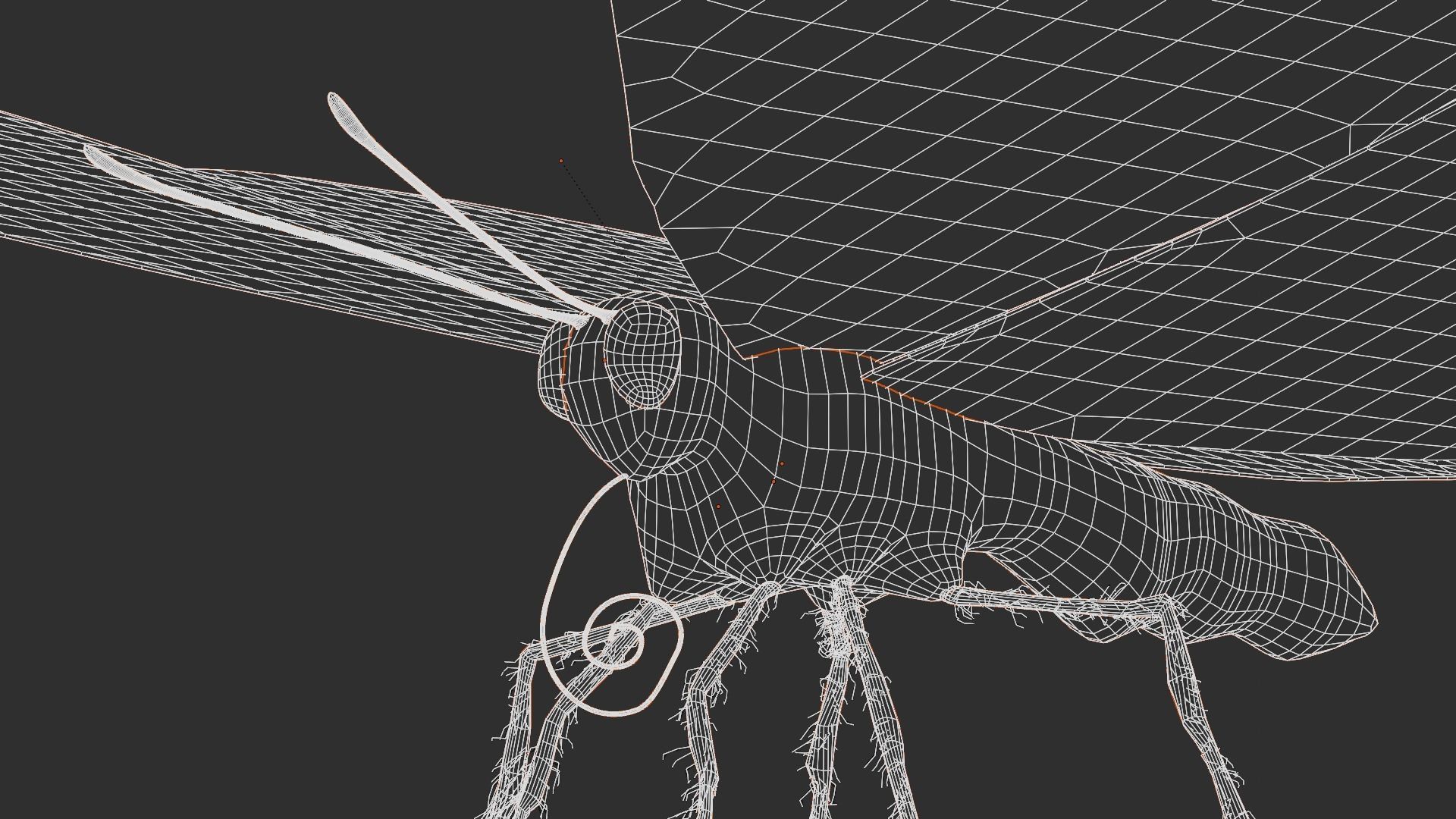 3D Model Collection Butterfly Realistic flying in air VR / AR / low ...