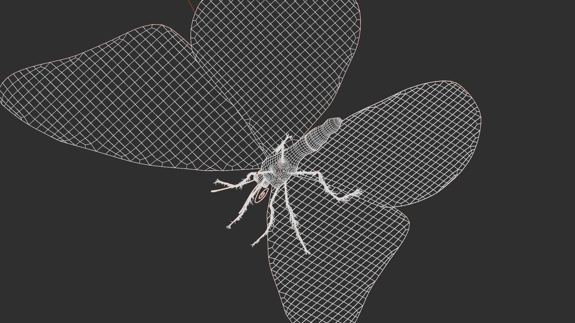 3D Model Collection Butterfly Realistic flying in air VR / AR / low ...