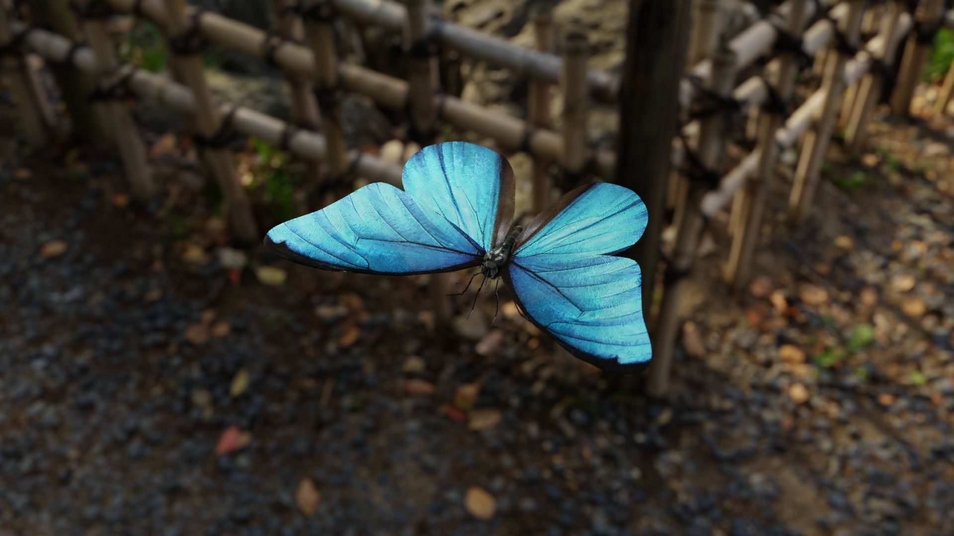 Butterfly Realistic 3D Model Collection | CGTrader