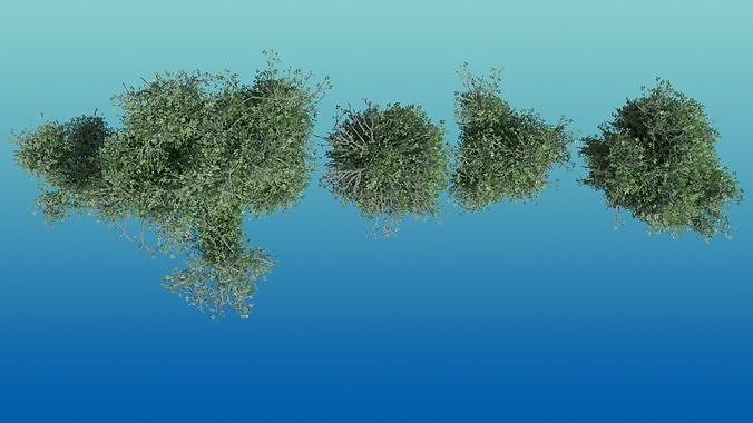 Tree Pack 3D model | CGTrader