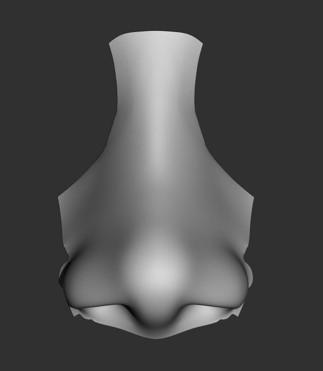 Female Nose Pack 3D model | CGTrader