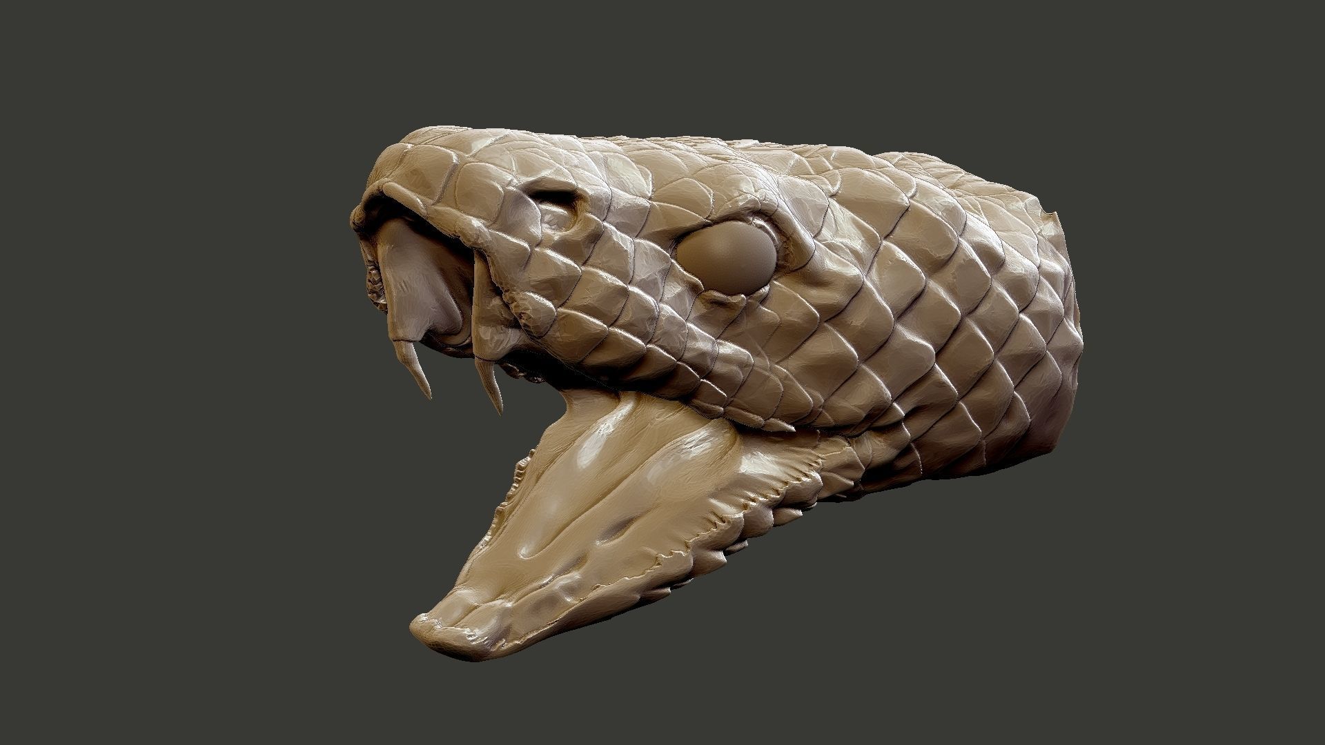 snake head 3D model 3D printable | CGTrader