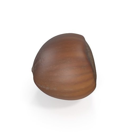Realistic Hazelnut 3D model acorn stool 3D model | CGTrader