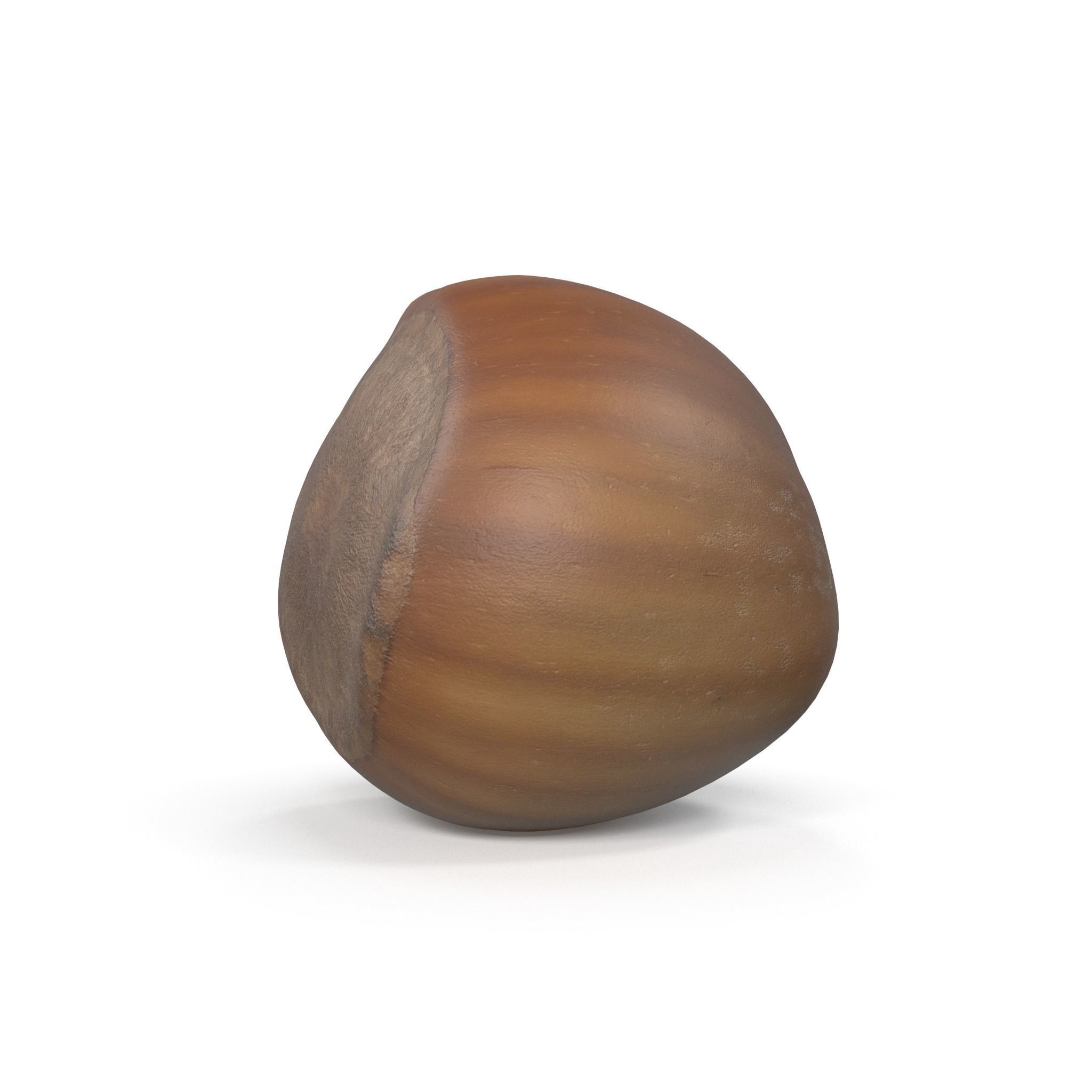 Realistic Hazelnut 3D model acorn stool 3D model | CGTrader