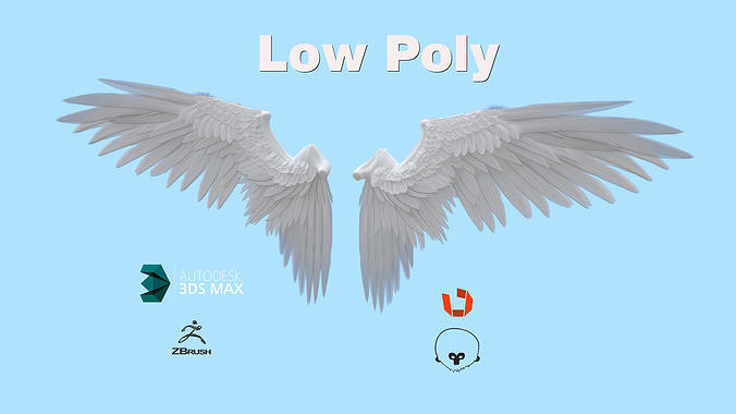 3D model Wings VR / AR / low-poly rigged animated | CGTrader