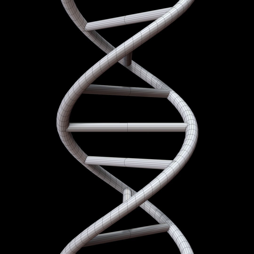 DNA Chain 3D model | CGTrader