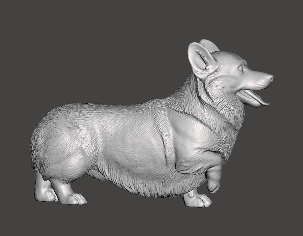 Pembroke Welsh Corgi 3D model 3D printable | CGTrader
