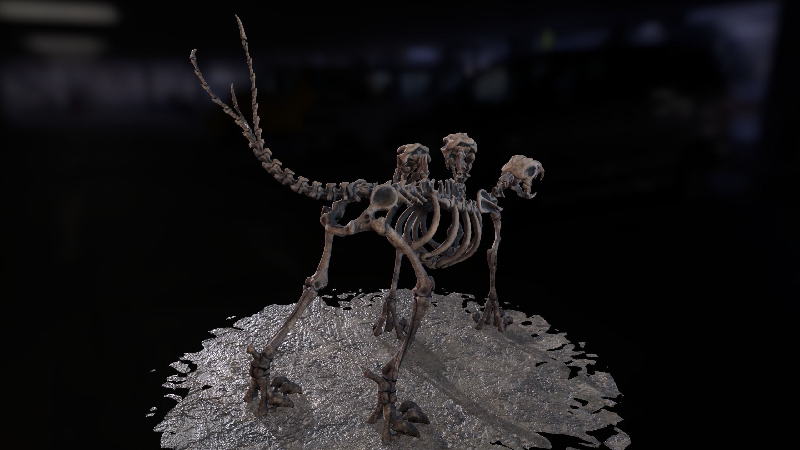 3D model Cerberus skeleton VR / AR / low-poly | CGTrader