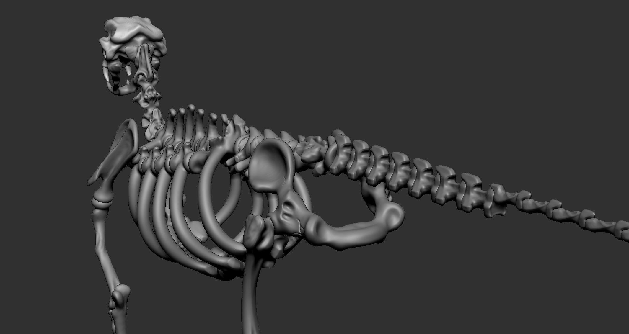 3D model Cerberus skeleton VR / AR / low-poly | CGTrader