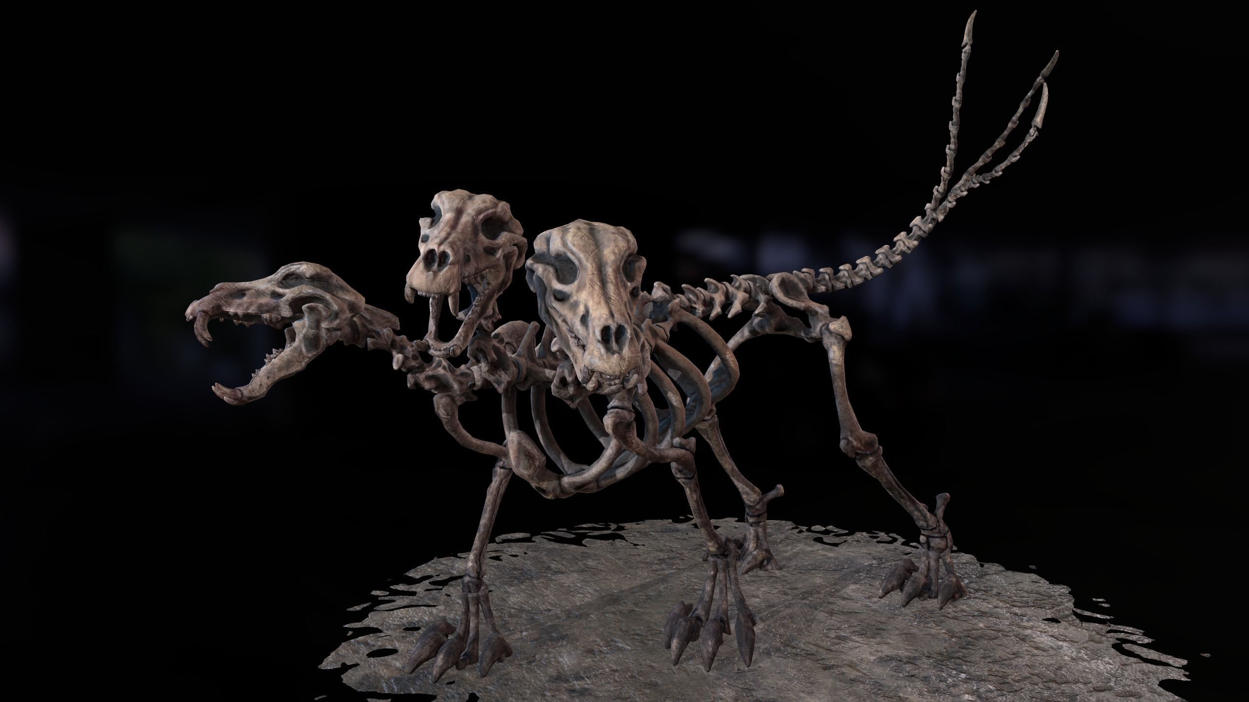 3D model Cerberus skeleton VR / AR / low-poly | CGTrader