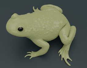 3d frog 3D Printing Models | CGTrader