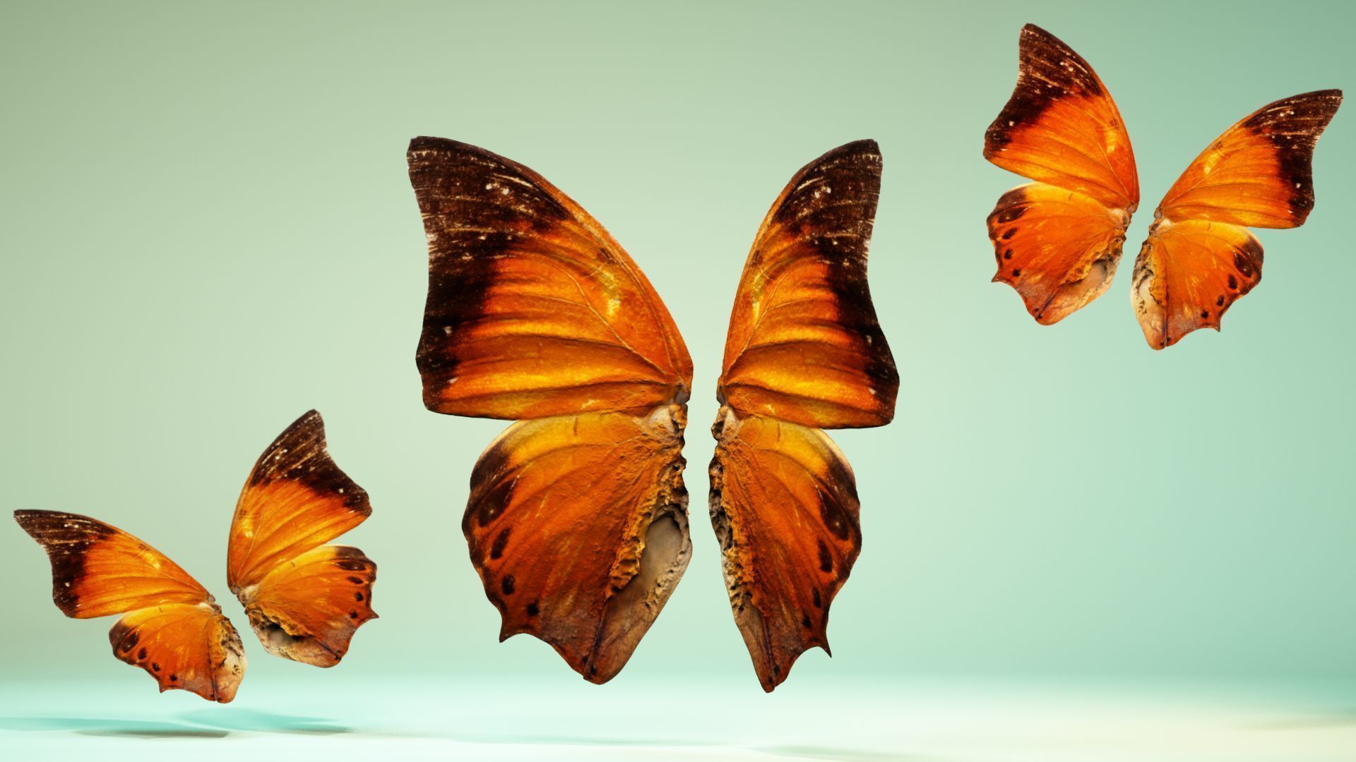 3D model three orange butterflies flying in air VR / AR / low-poly ...