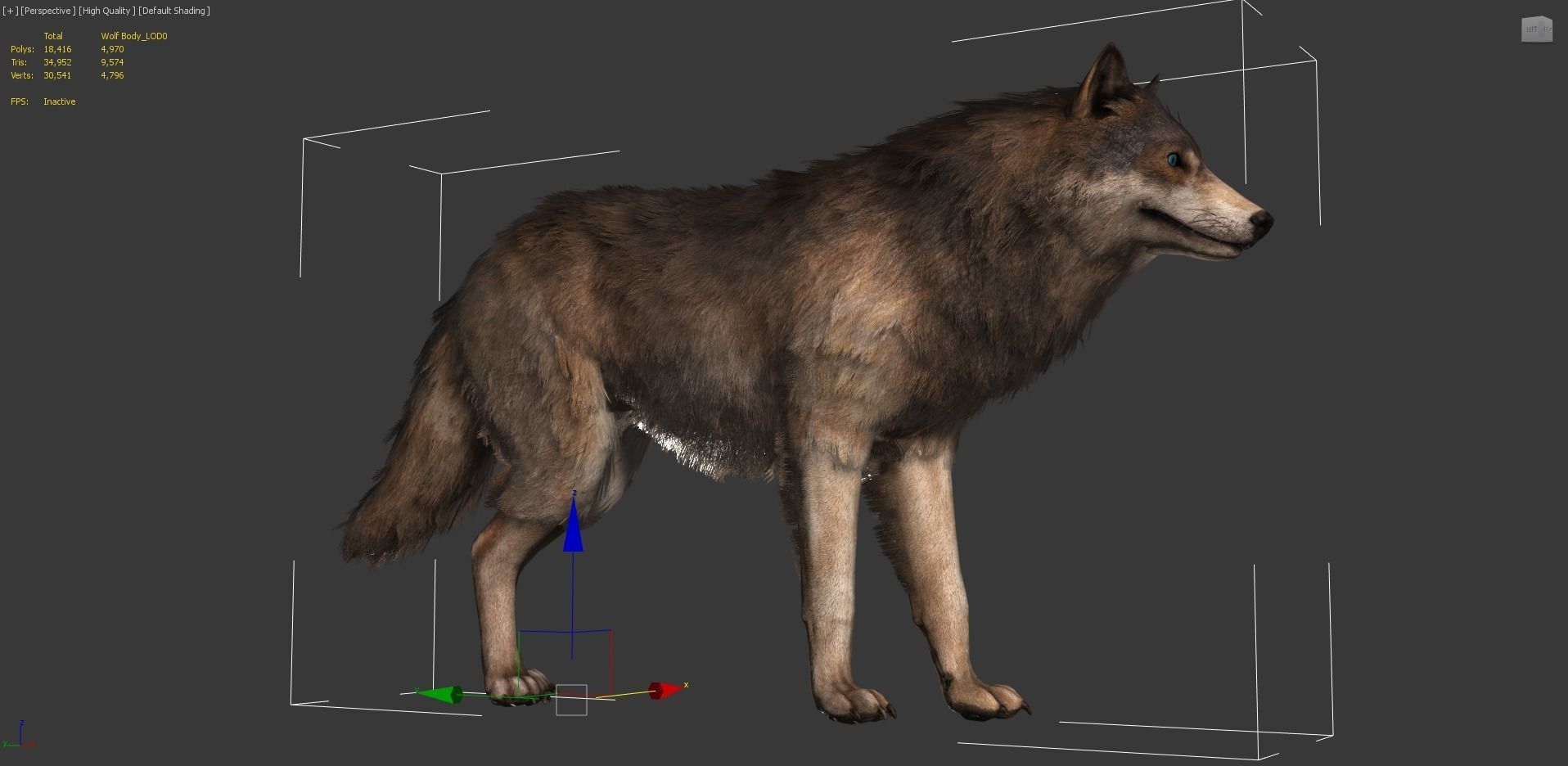 Wolf Realistic 3D model animated rigged | CGTrader